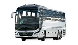 Man Lion's Coach Diesel Fuel Pumps Van Truck