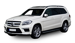 Mercedes GL Class Diesel Fuel Injectors