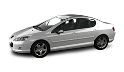 Peugeot 407 Diesel Fuel Injectors
