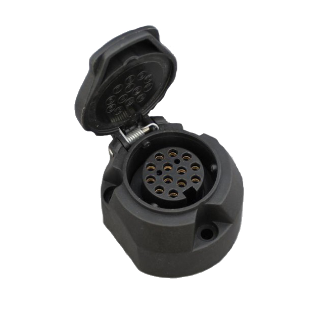 13 pin socket plastic c/w Microswitch and Fog cut off